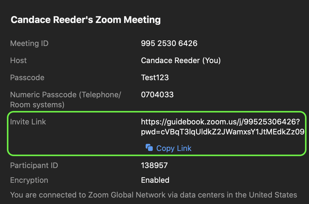 Virtual Meetings and Videos – Guidebook Support